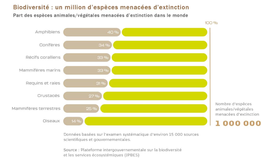 Qui sommes nous? – ALTERRE ECO